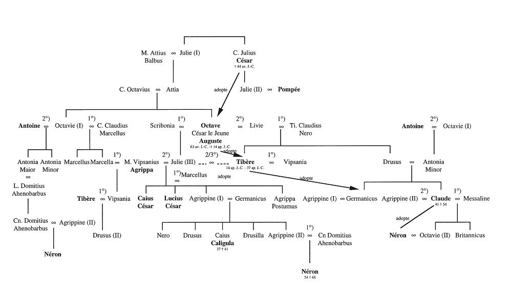 Objet oeuvre ARBRE GÉNÉALOGIQUE SIMPLIFIÉ DE LA DYNASTIE JULIO-CLAUDIENNE